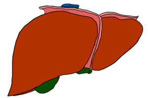 2 Best treatments of Cholecystitis Acute